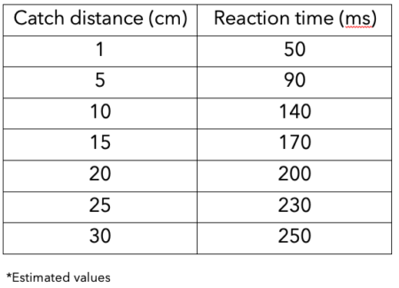 All you need to know about reaction time - CS LAB
